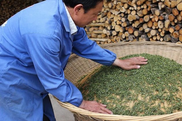 How Does Huoshan Huangya Tea Taste Like? - Lastea